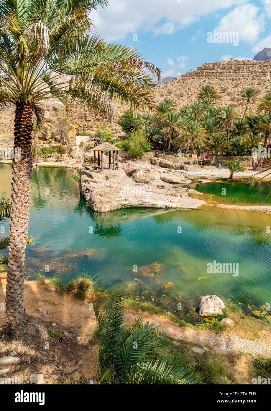 View of the Wadi Bani Khalid oasis in the desert in Sultanate of Oman ...