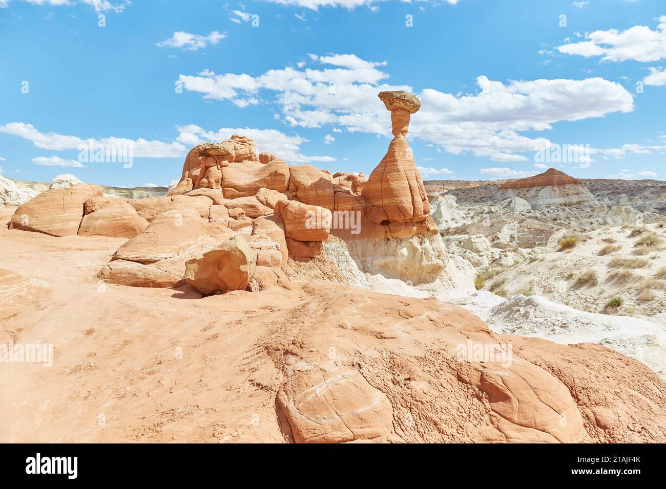 The surreal Toadstool Hoodoos in Utah's Grand Staircase-Escalante ...