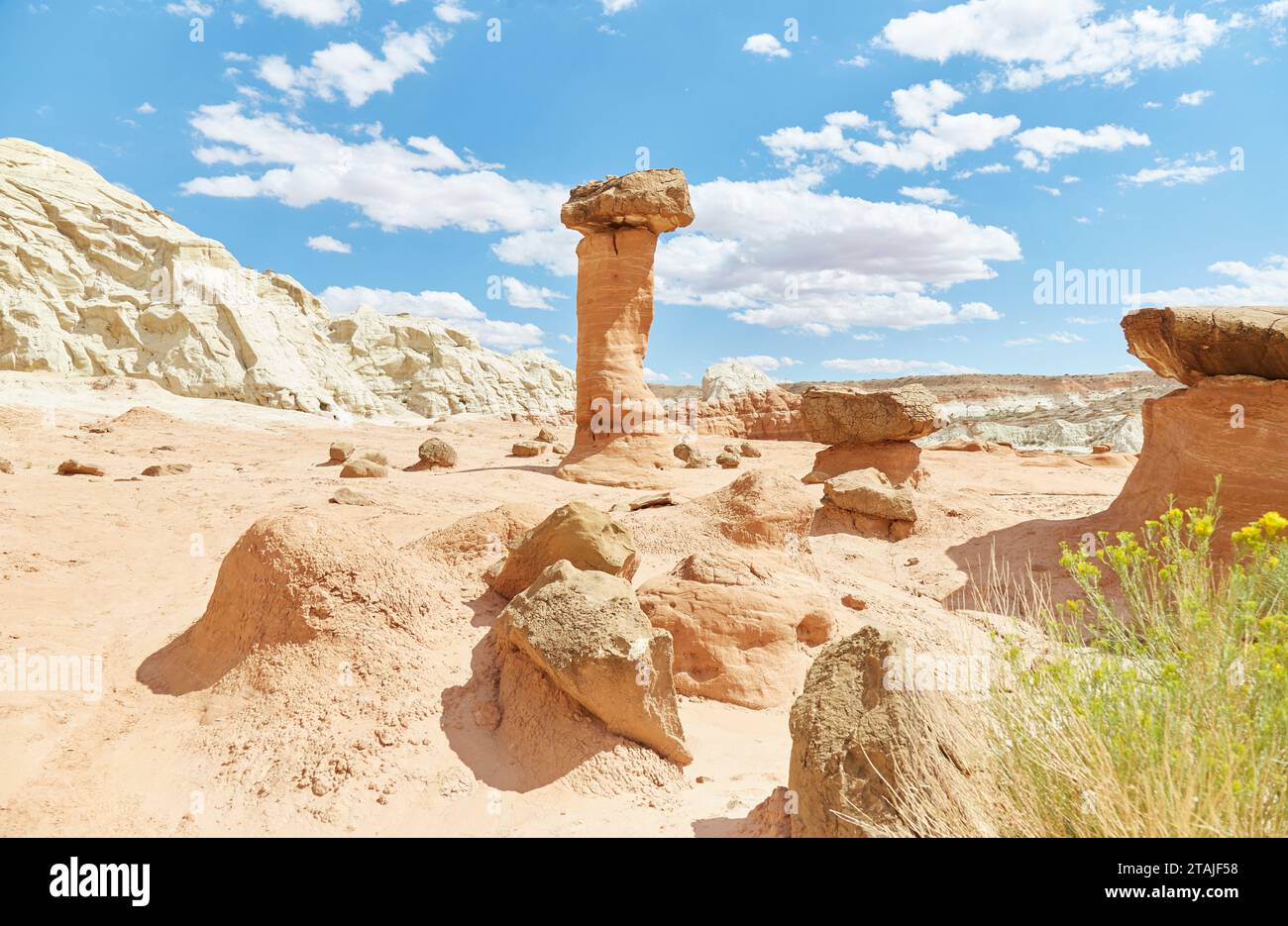 The surreal Toadstool Hoodoos in Utah's Grand Staircase-Escalante ...