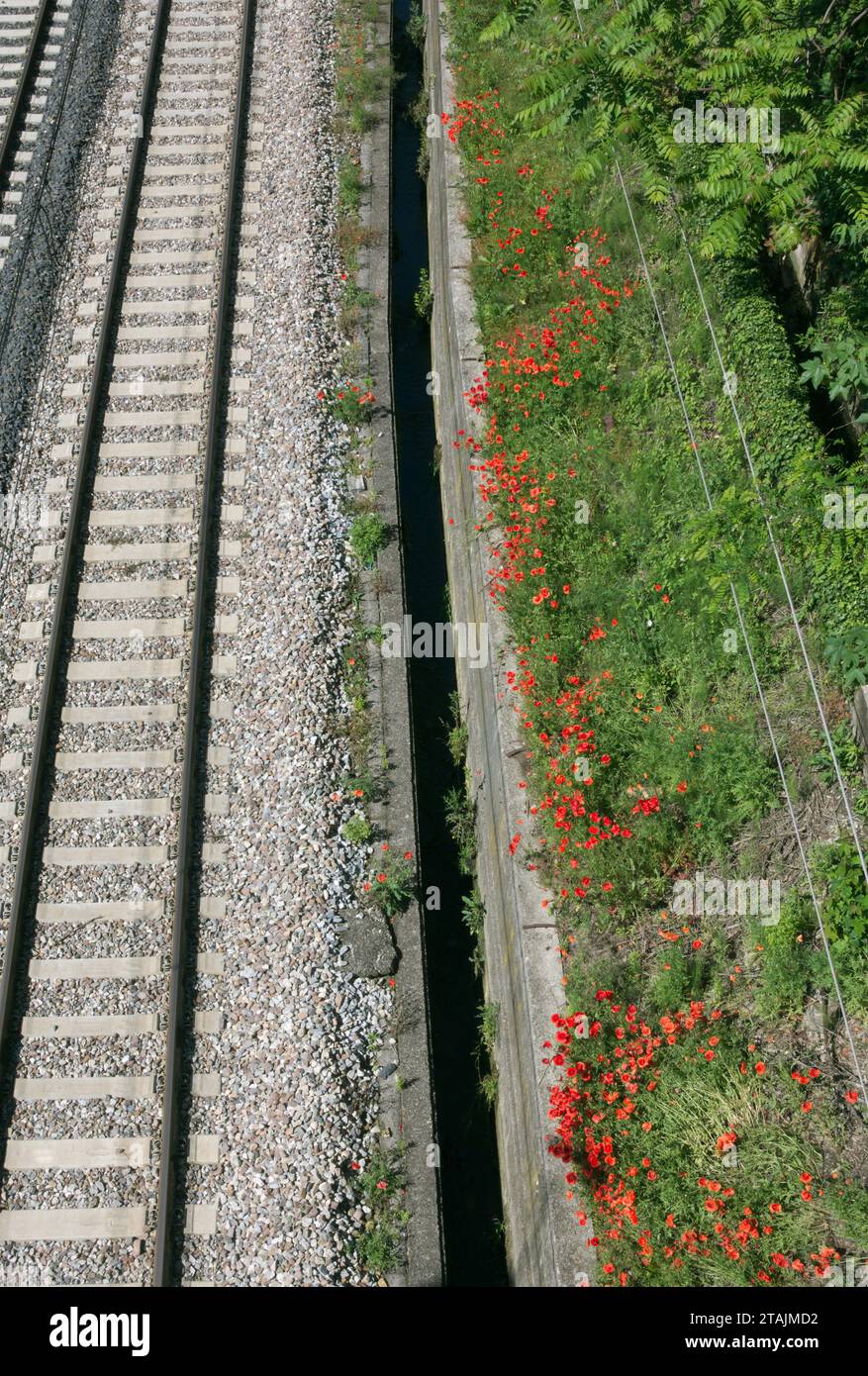 View along railroad track hi-res stock photography and images - Alamy