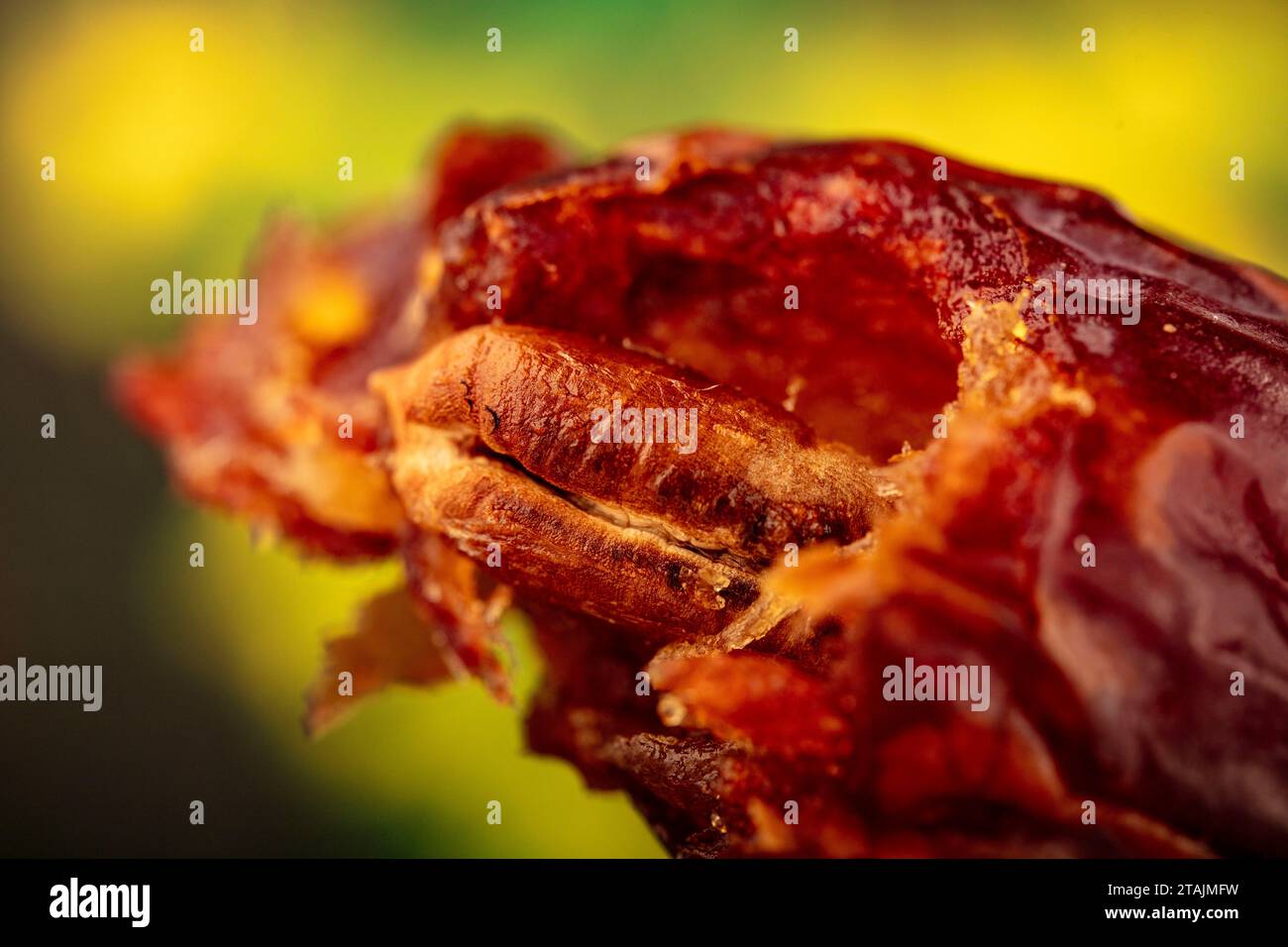 Poster ready semi abstract still life portrait of exotic and succulent ...