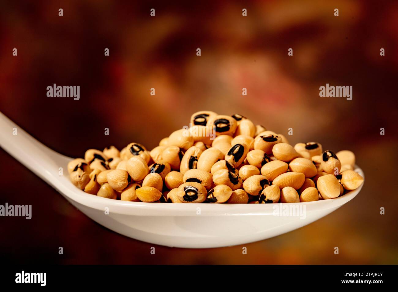 Close up high resolution food still life of commercially important ...