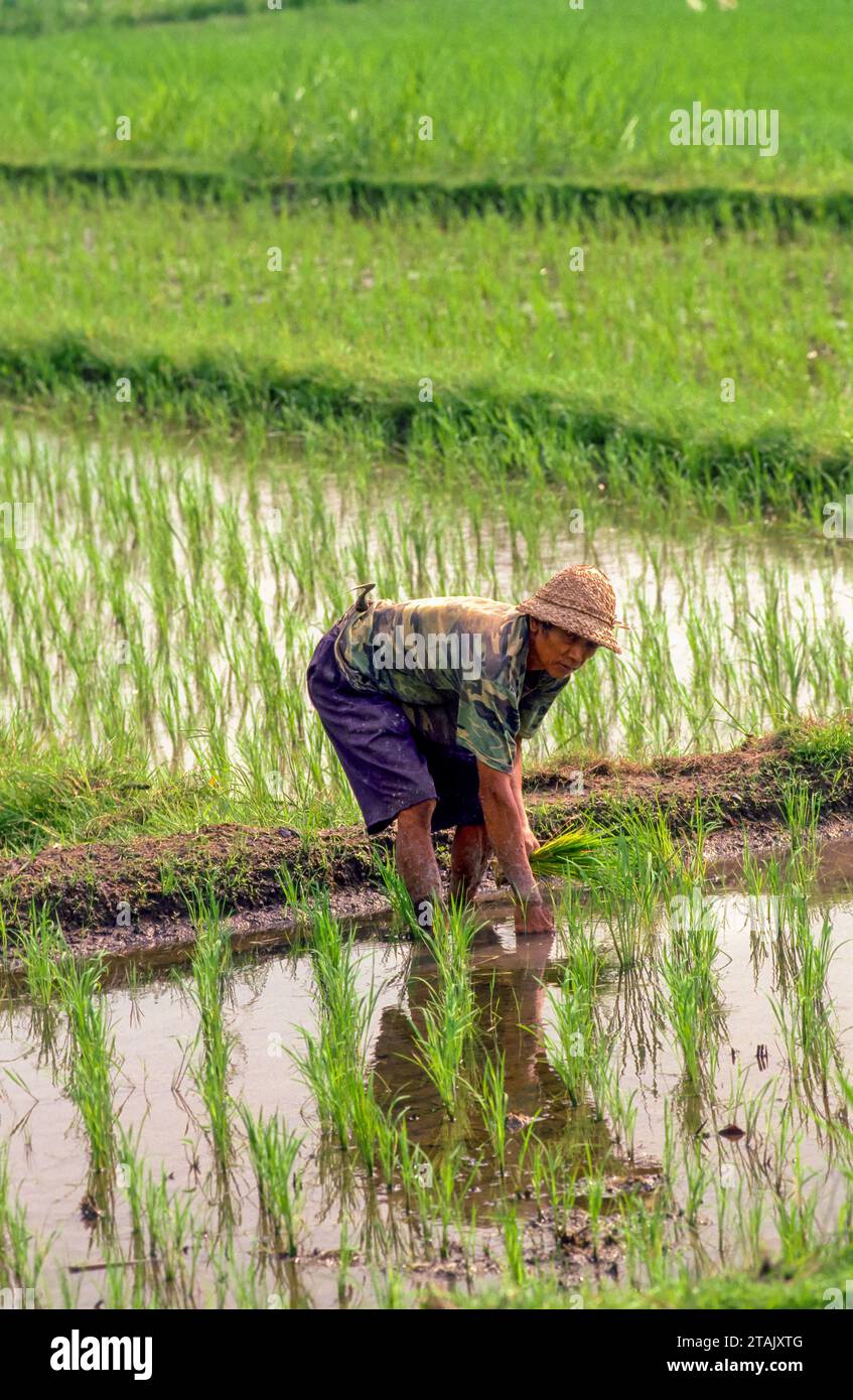 Baduraden hi-res stock photography and images - Alamy