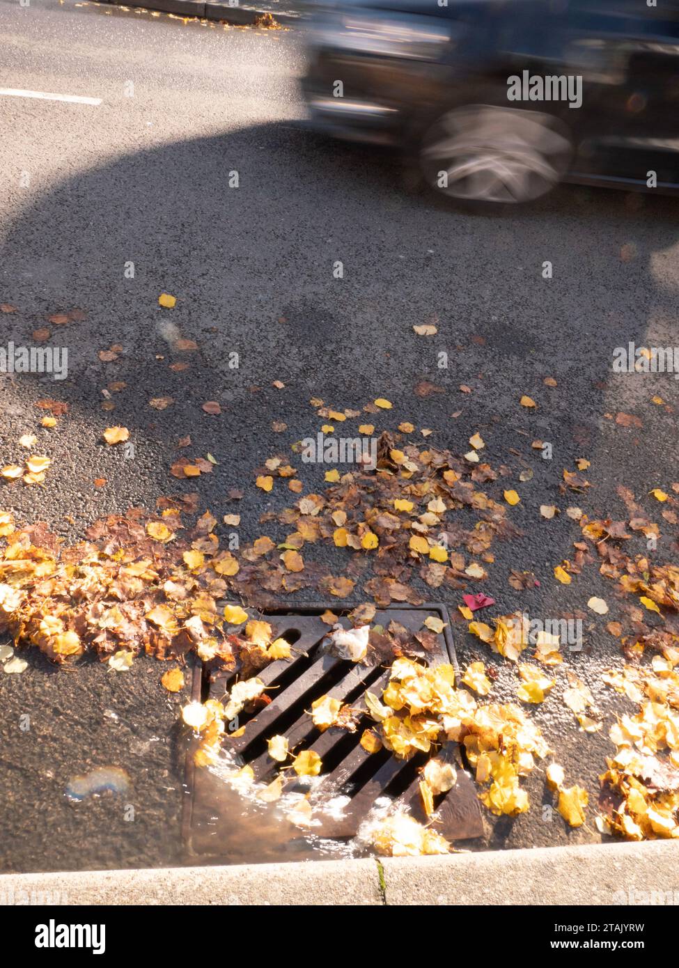 Water and autumn leaves in partially blocked storm drain , with blurred ...