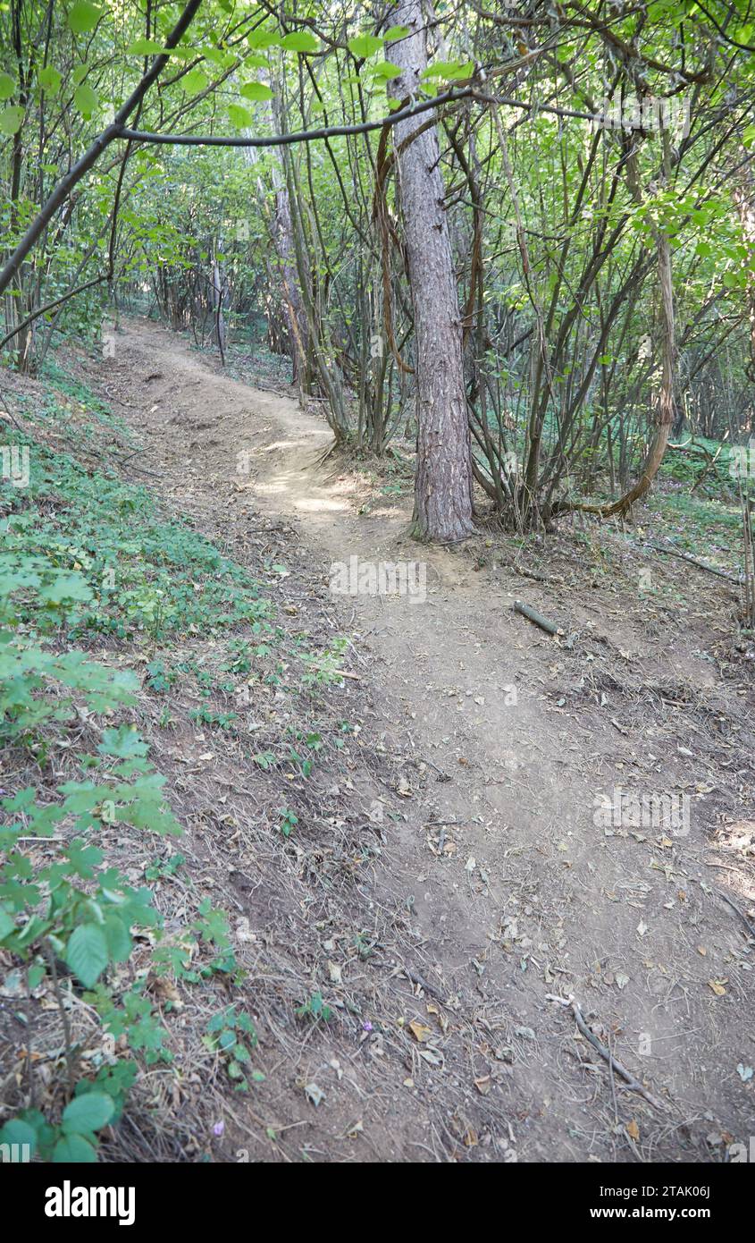 The Bosnian Pyramid in Visoko, what some call an ancient pyramid and ...