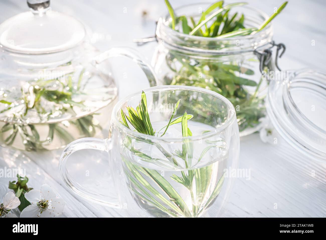 Aroma identification hi-res stock photography and images - Alamy