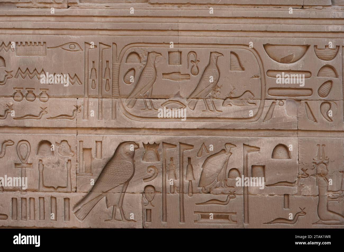 egyptian Hieroglyph , Each Hieroglyph character represent a common ...