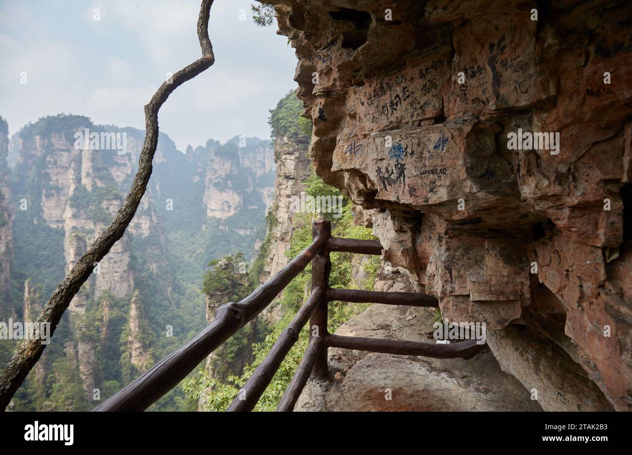 The amazing sandstone pillars of Zhangjiajie National Forest Park ...