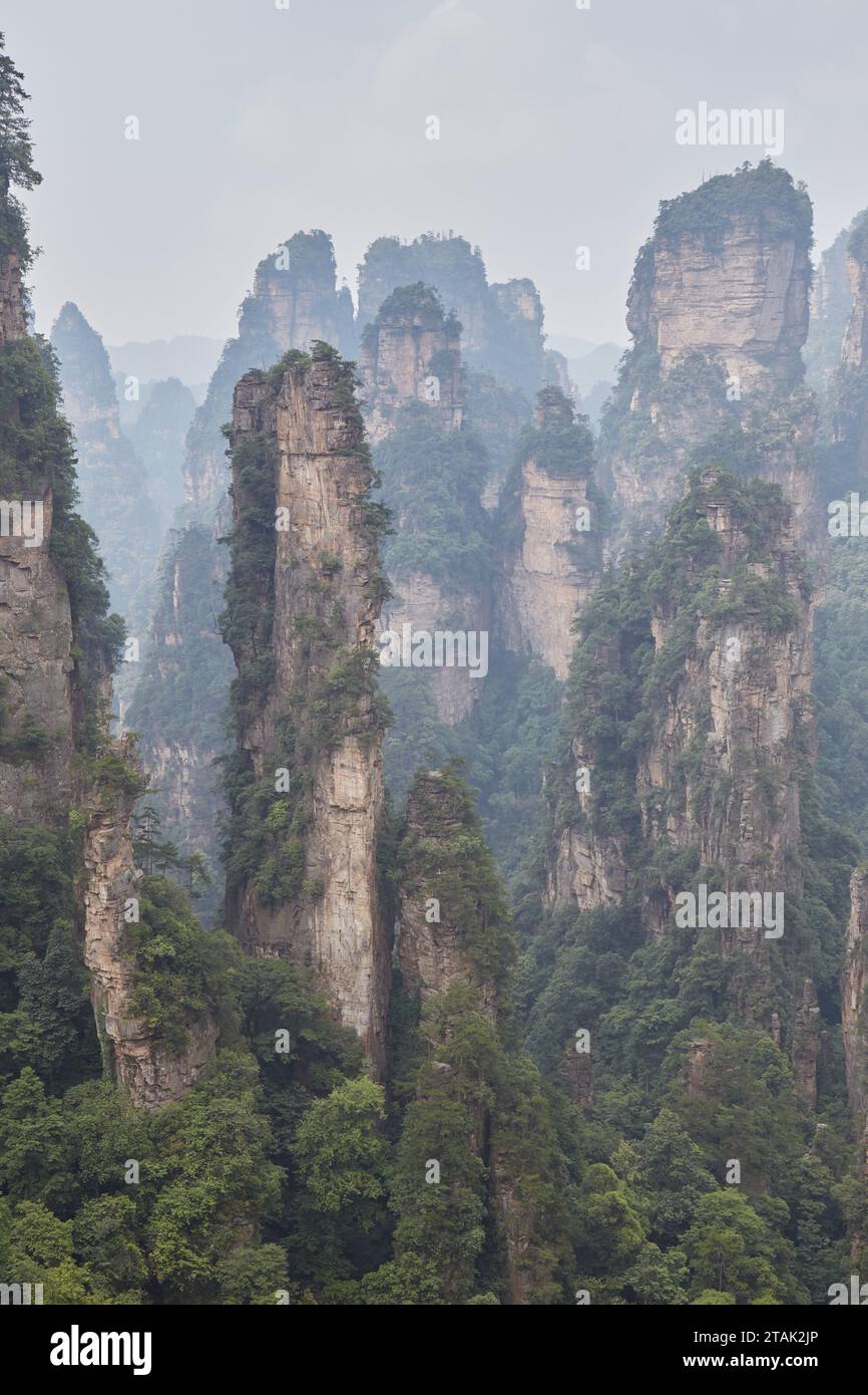 The amazing sandstone pillars of Zhangjiajie National Forest Park ...