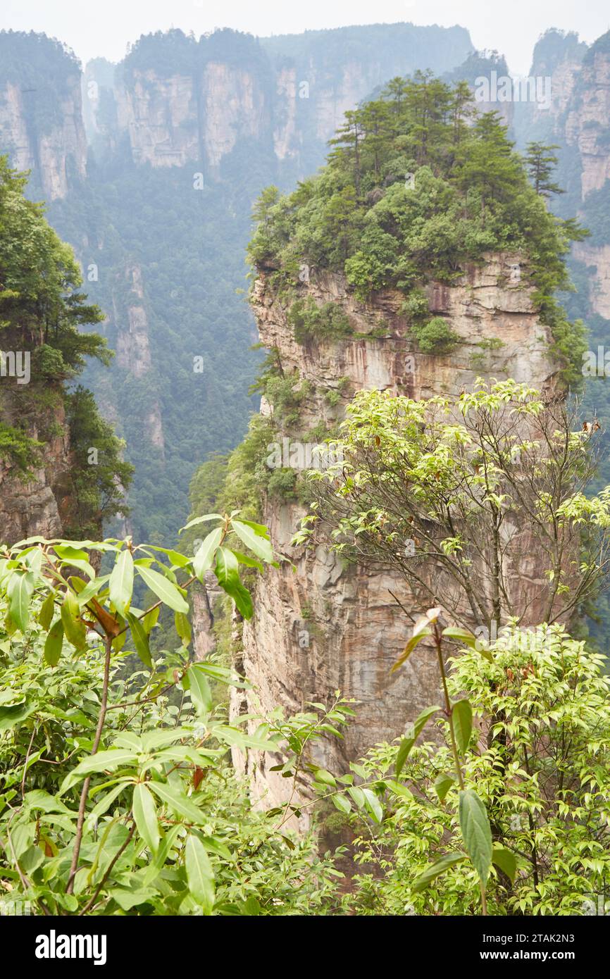 The amazing sandstone pillars of Zhangjiajie National Forest Park ...