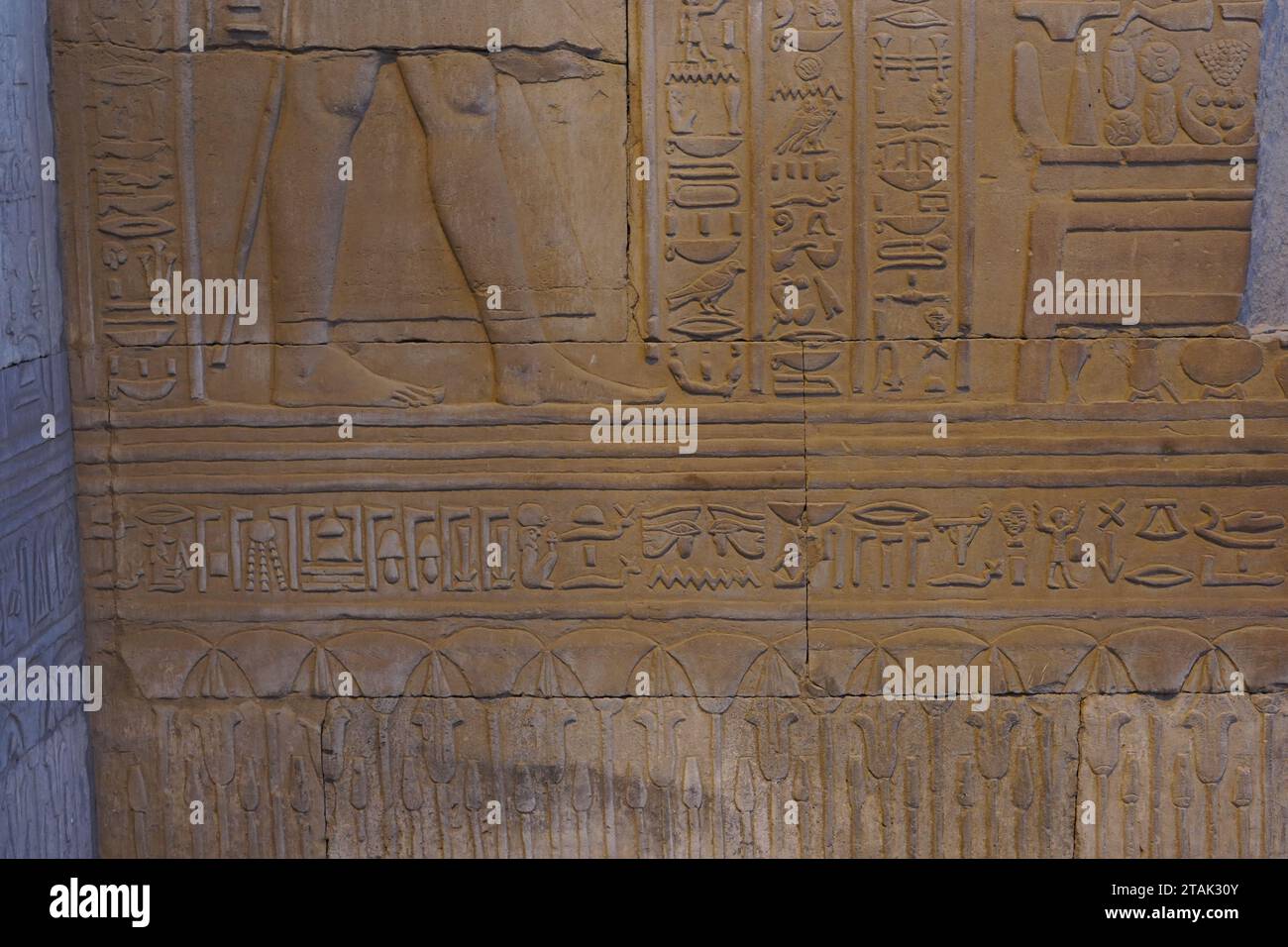 "Decoding the secrets of ancient Egypt through intricate hieroglyphics ...