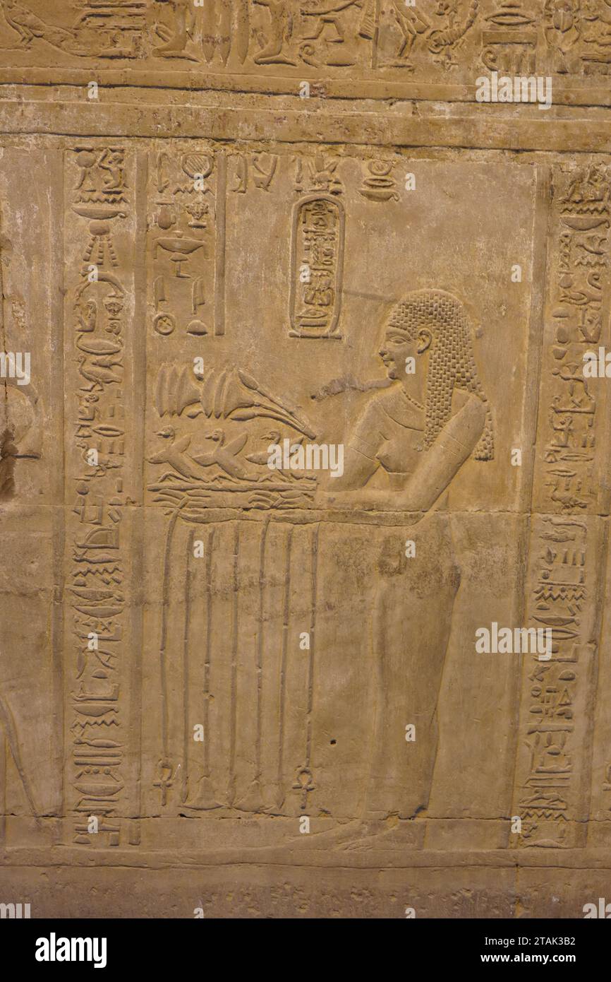"Decoding the secrets of ancient Egypt through intricate hieroglyphics ...