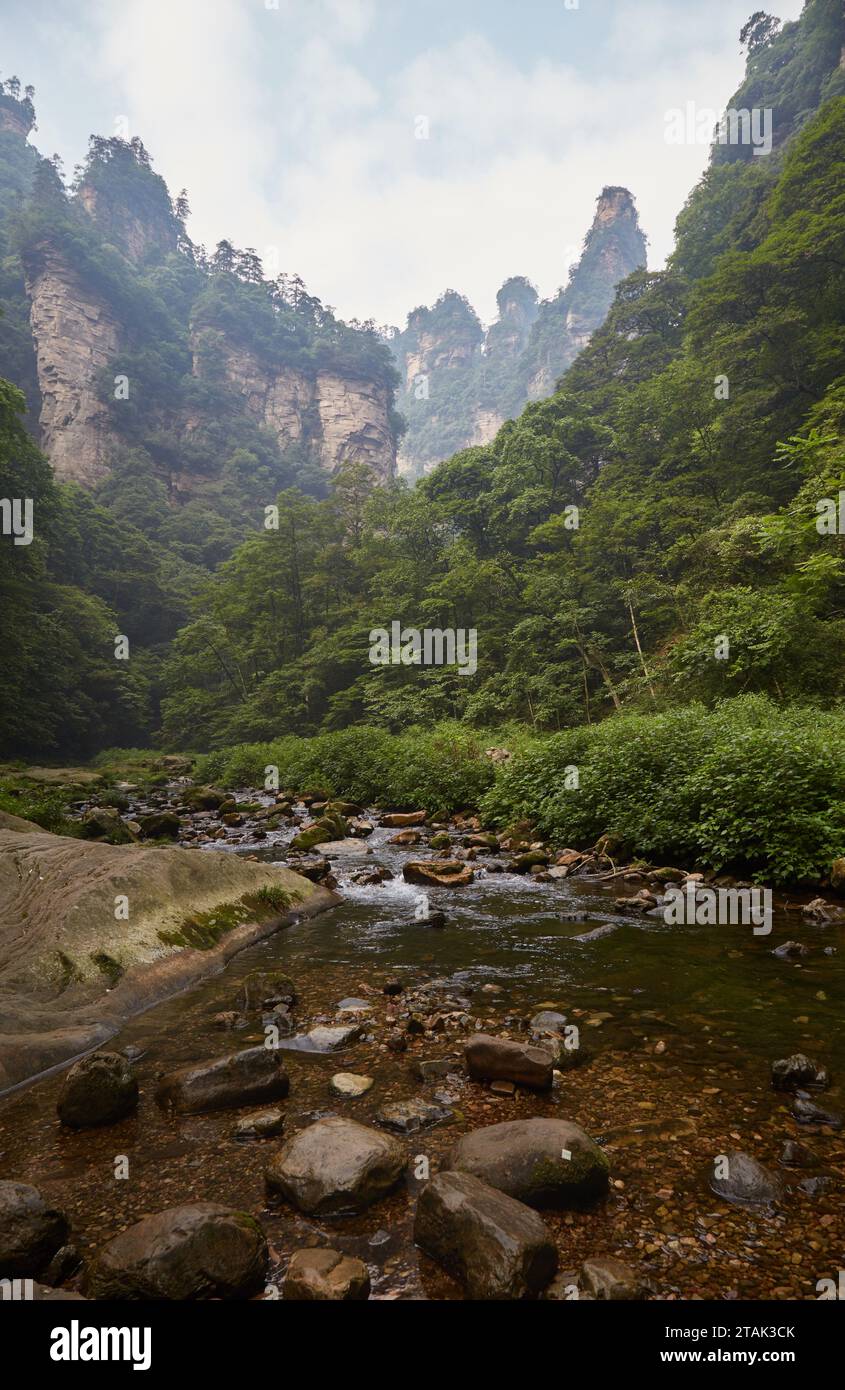 Golden Whip Stream in Zhangjiajie National Forest Park, Hunan, China ...