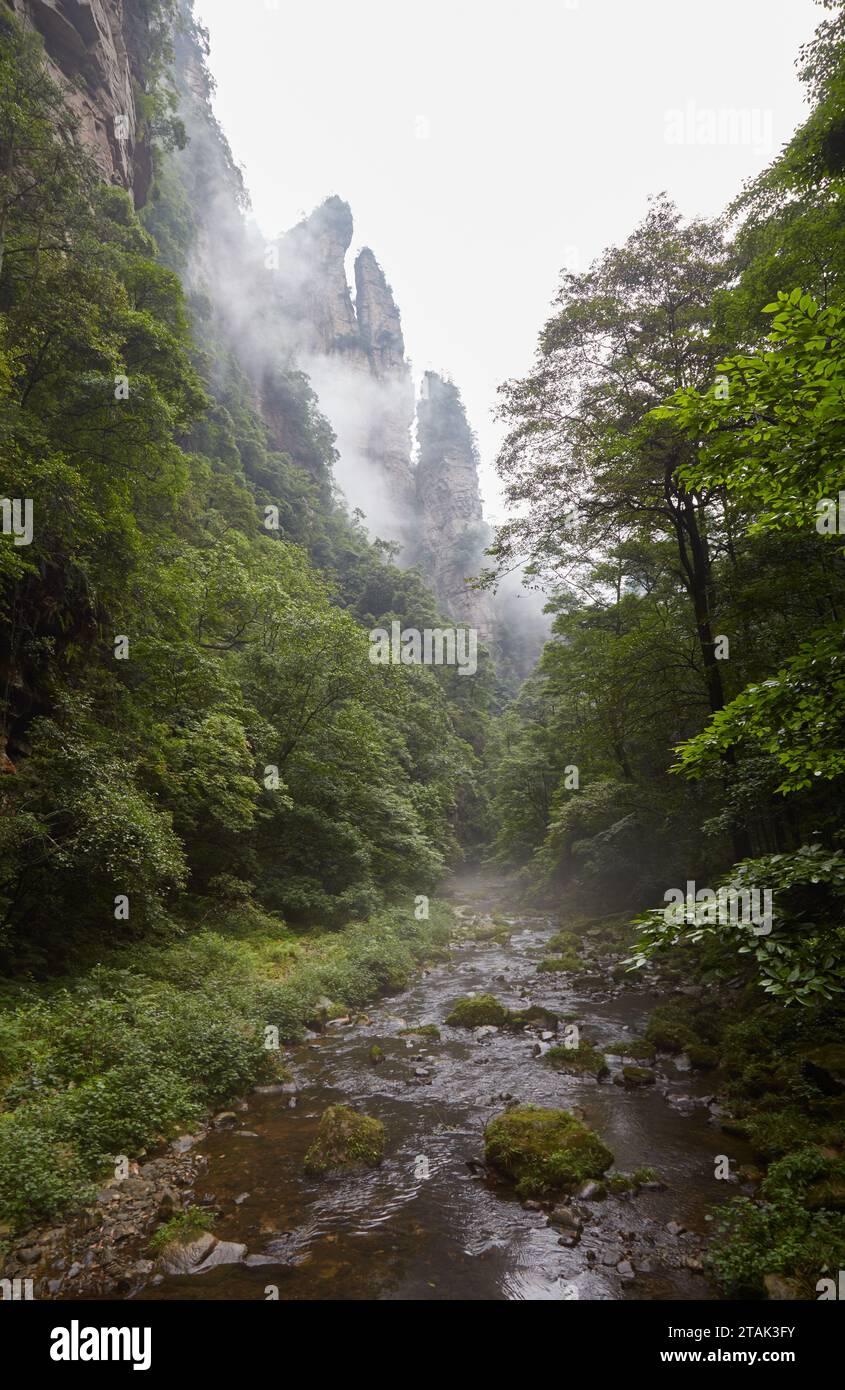 Golden Whip Stream in Zhangjiajie National Forest Park, Hunan, China ...