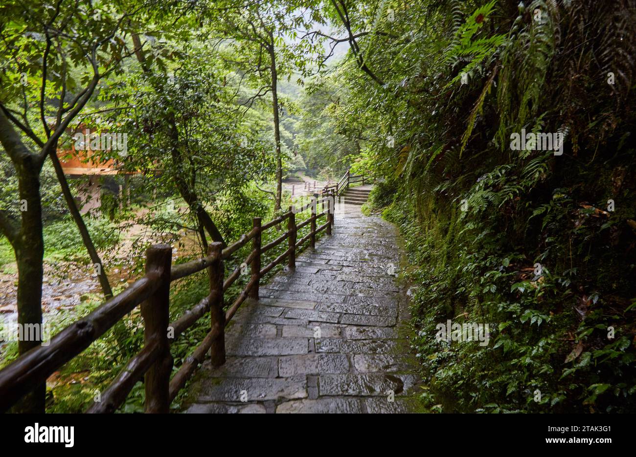 Golden Whip Stream in Zhangjiajie National Forest Park, Hunan, China ...