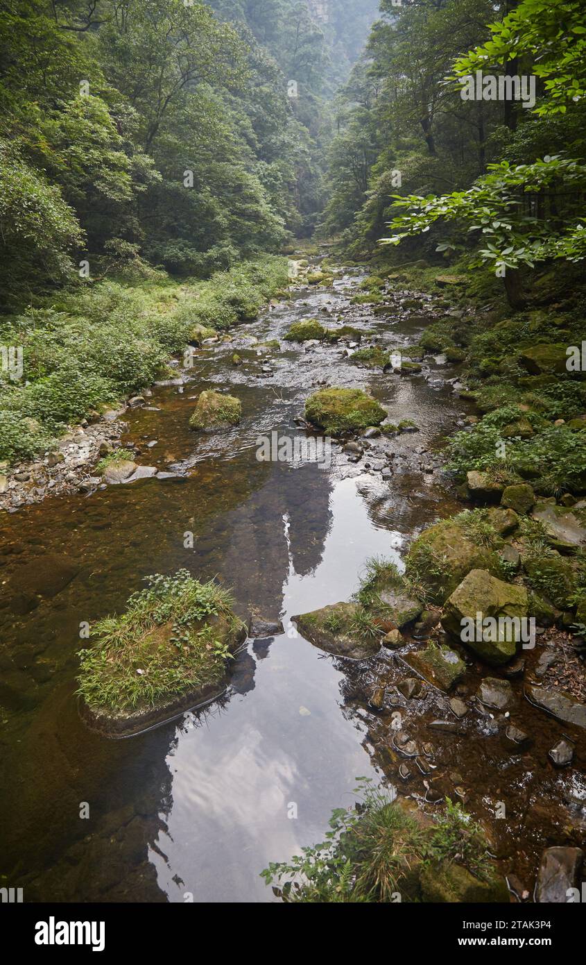 Golden Whip Stream in Zhangjiajie National Forest Park, Hunan, China ...