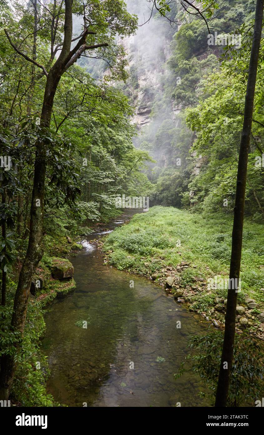 Golden Whip Stream in Zhangjiajie National Forest Park, Hunan, China ...