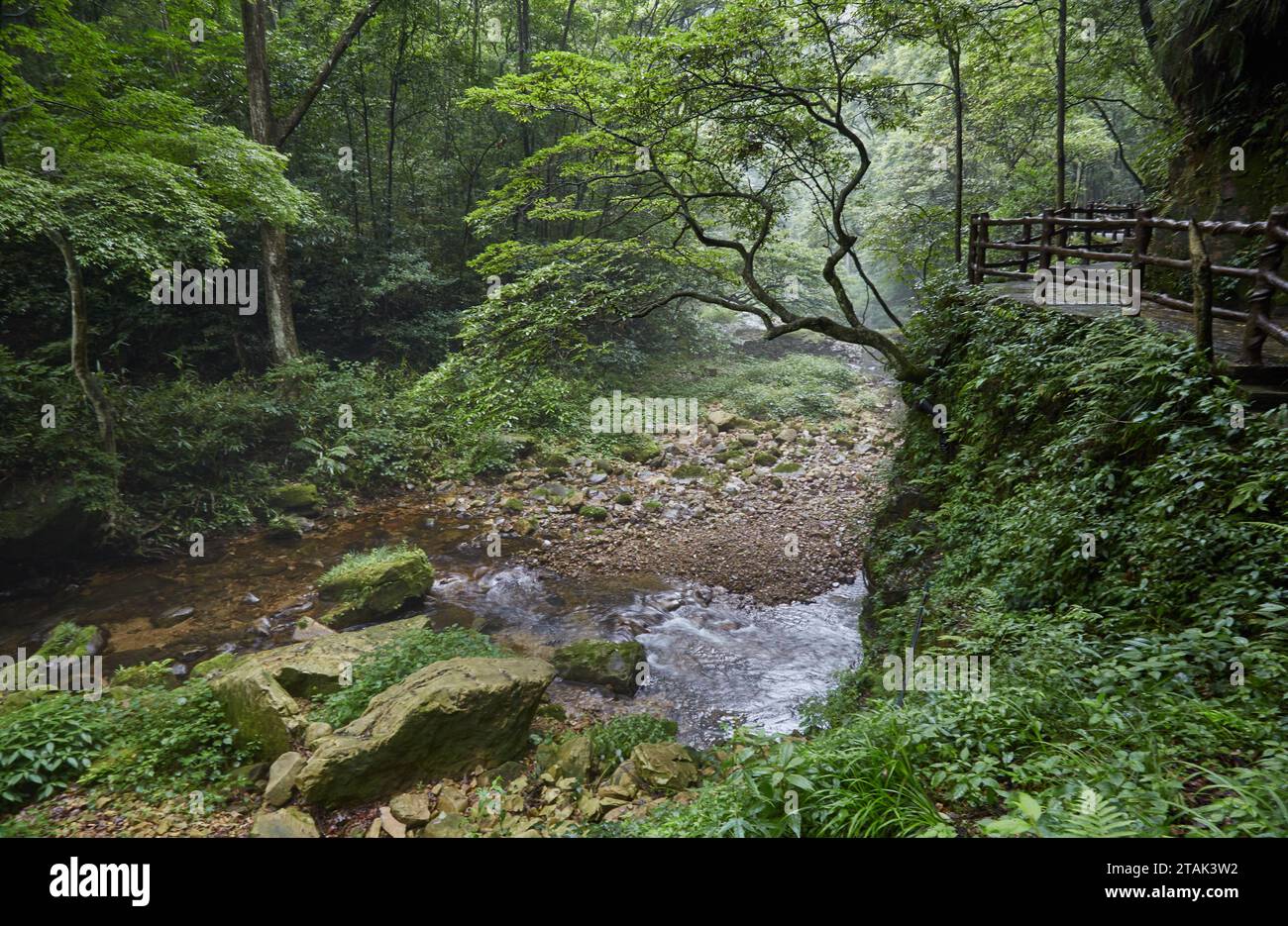Golden Whip Stream in Zhangjiajie National Forest Park, Hunan, China ...