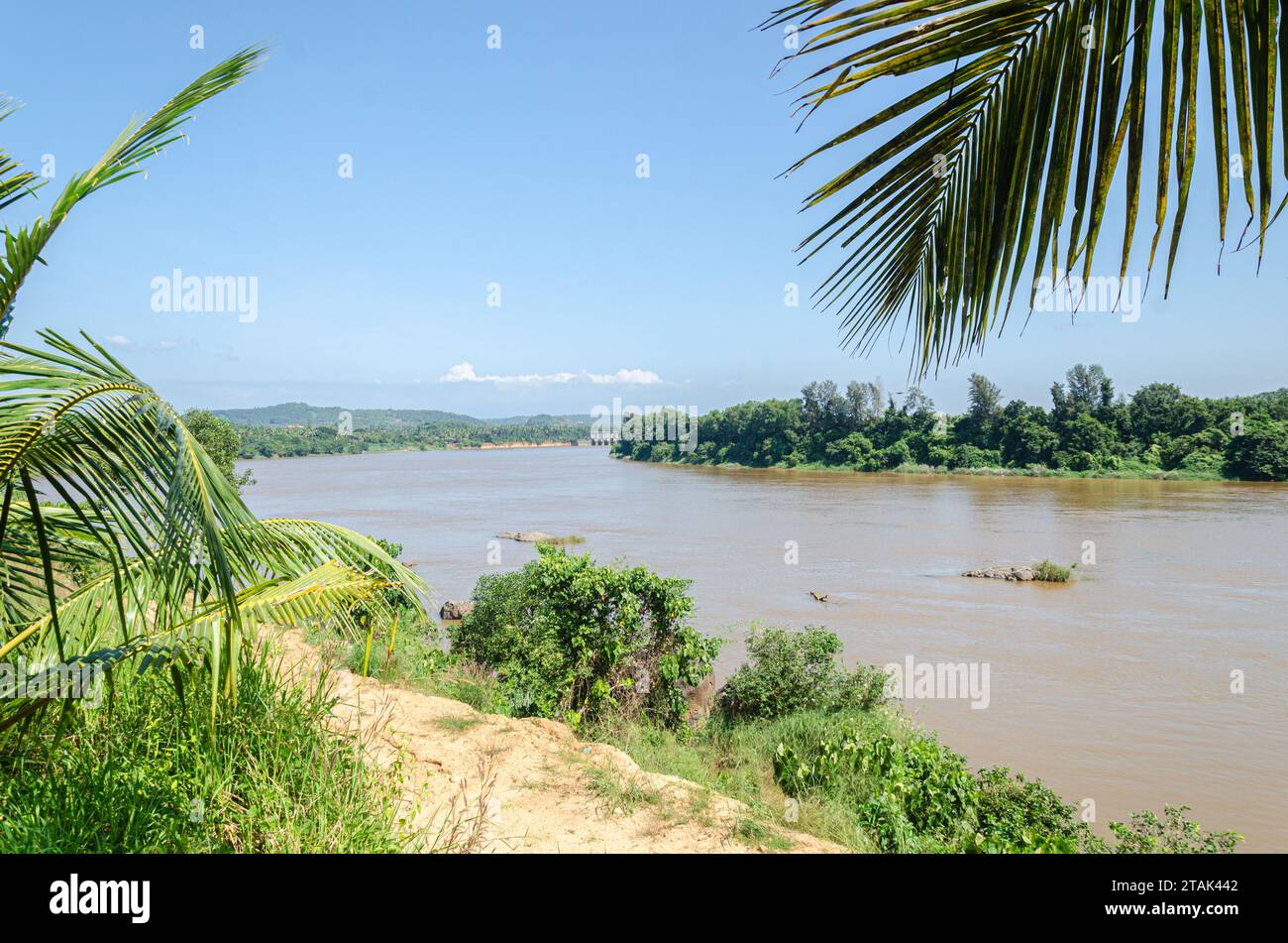 Netravati River at Thumbe in Mangalore, India Stock Photo - Alamy