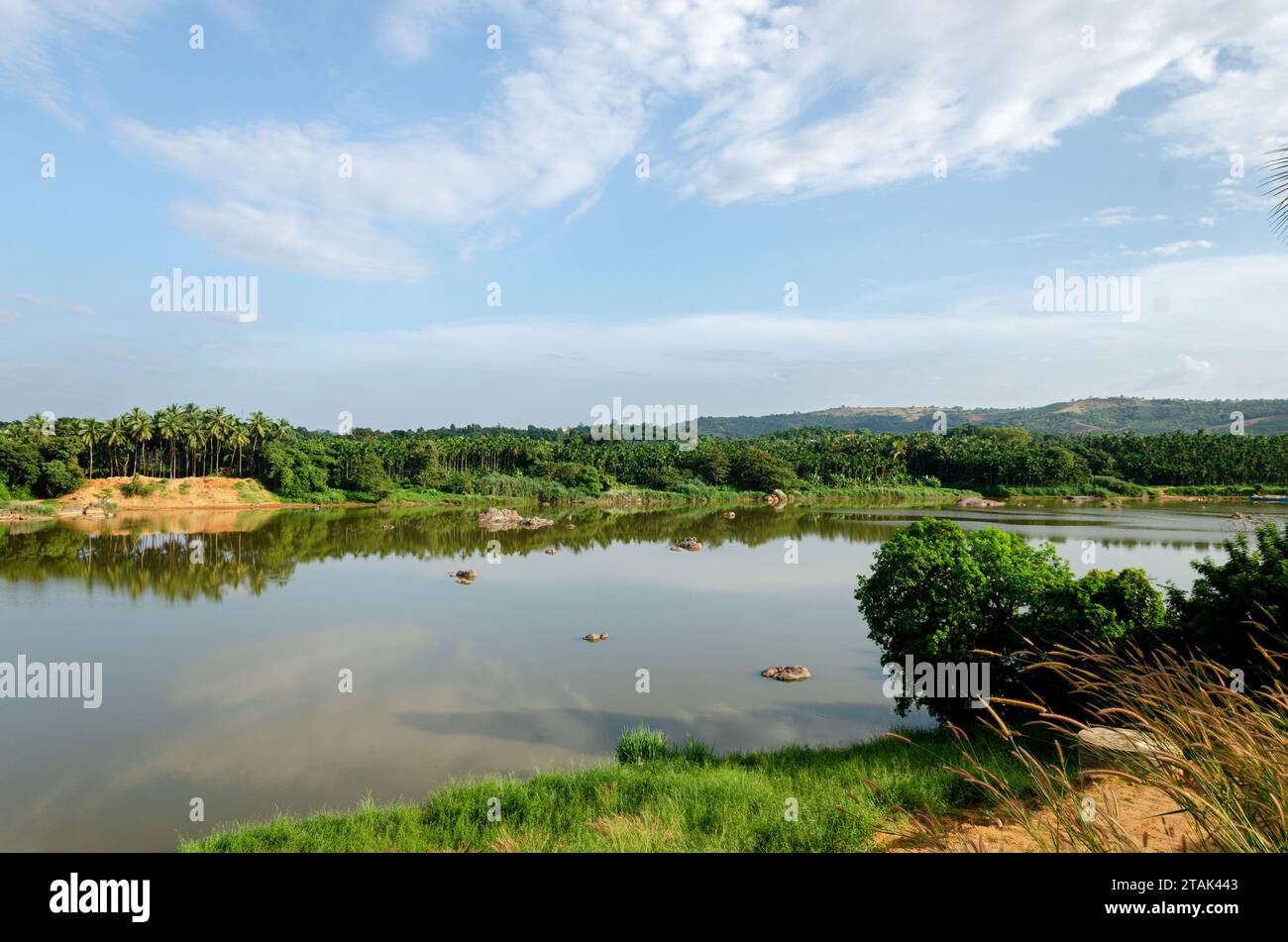 Netravati River at Thumbe in Mangalore, India Stock Photo - Alamy