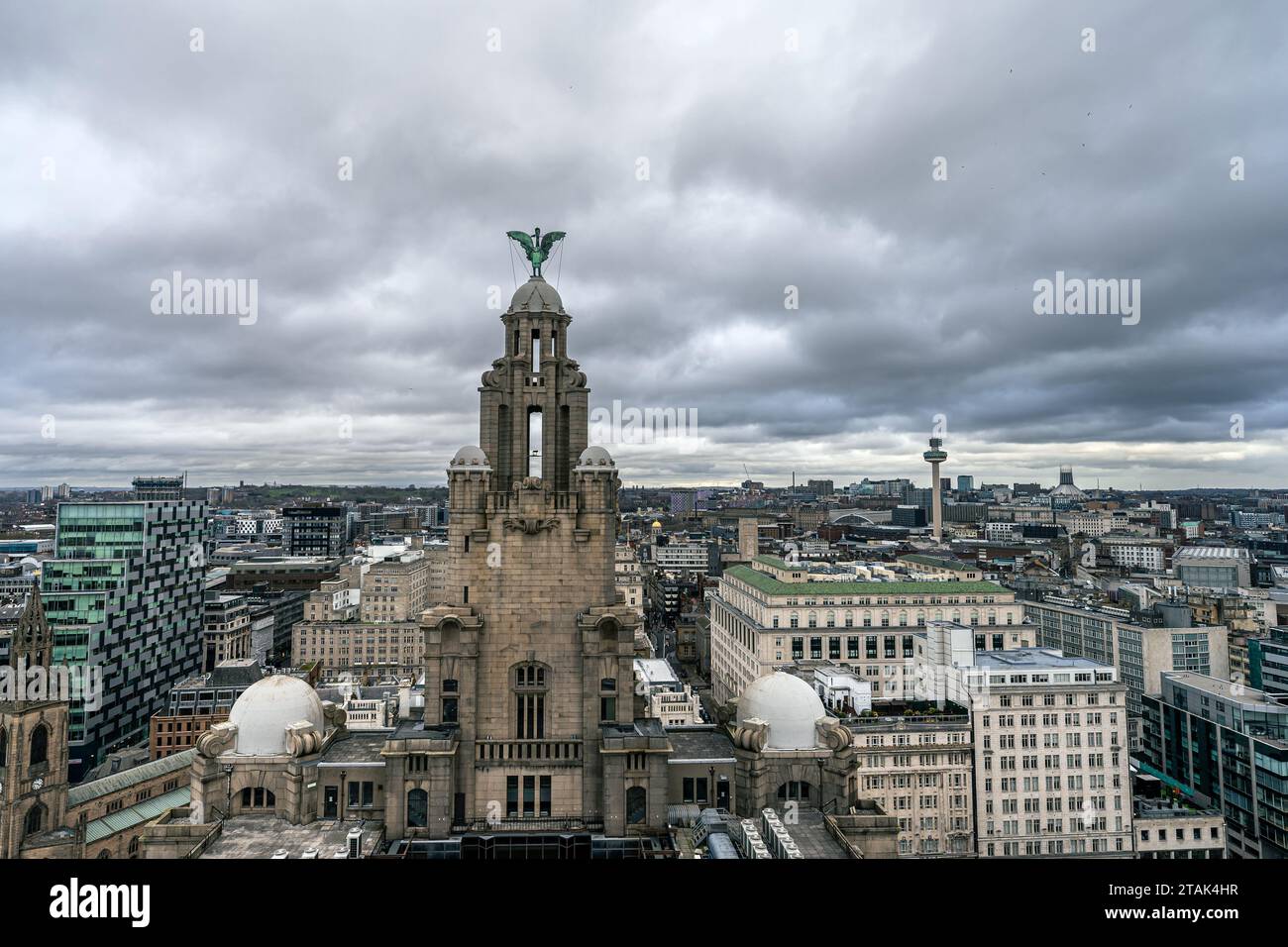 The top of the Royal Liver Building, liverbirds, Bertie and Bella Stock ...