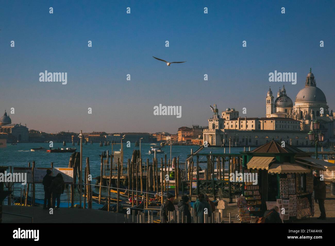 Venice landscape hi-res stock photography and images - Alamy