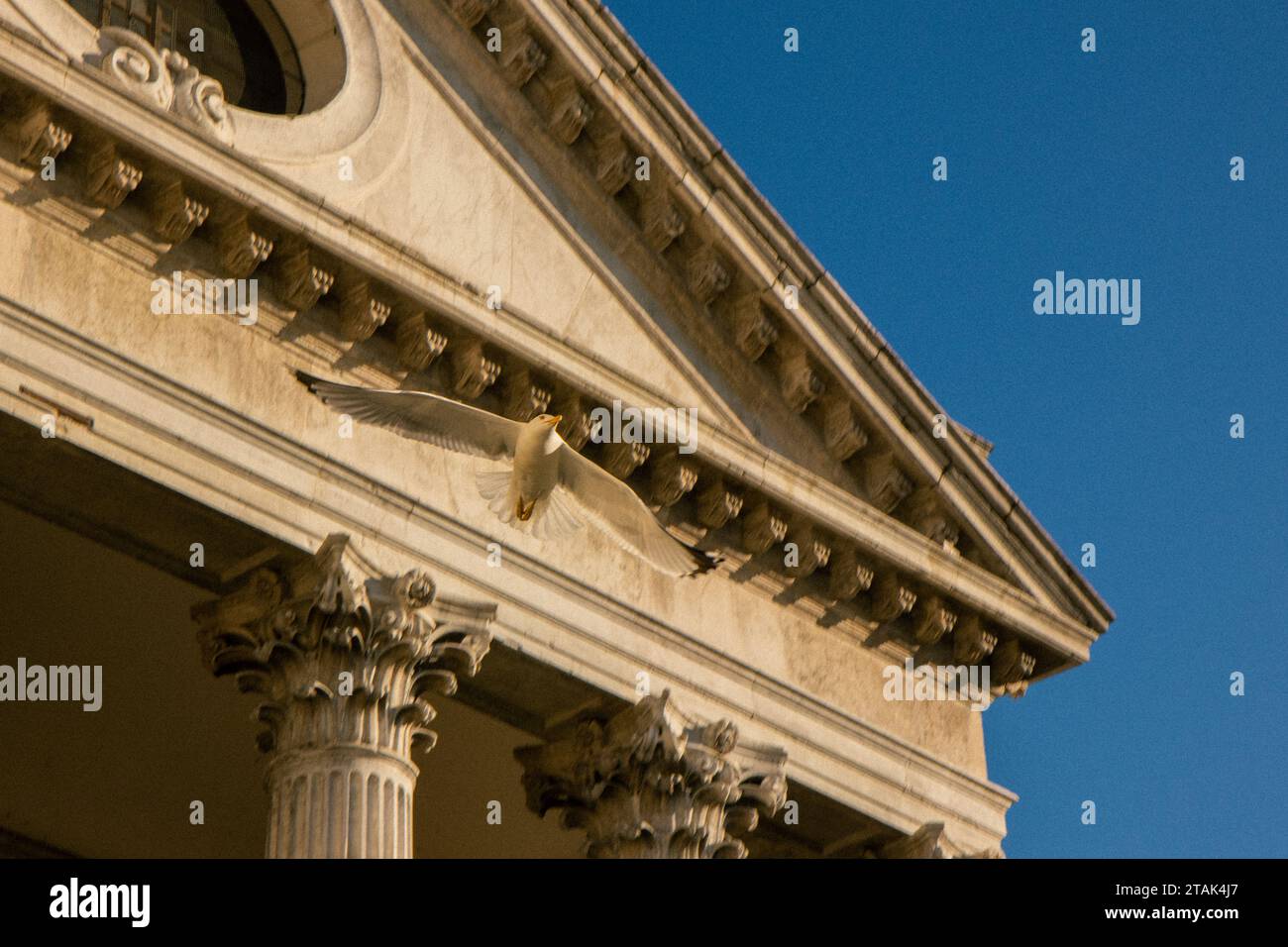 Swooping hi-res stock photography and images - Alamy