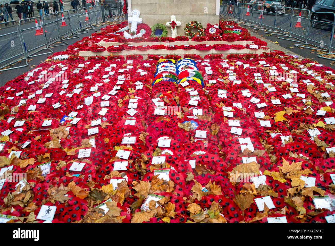 Whitehall, London, UK. 21st November, 2023. Remembrance Day poppy ...