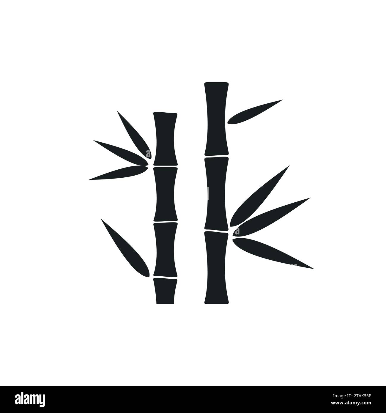 Bamboo silhouettes on the white background. Vector Illustration Stock ...