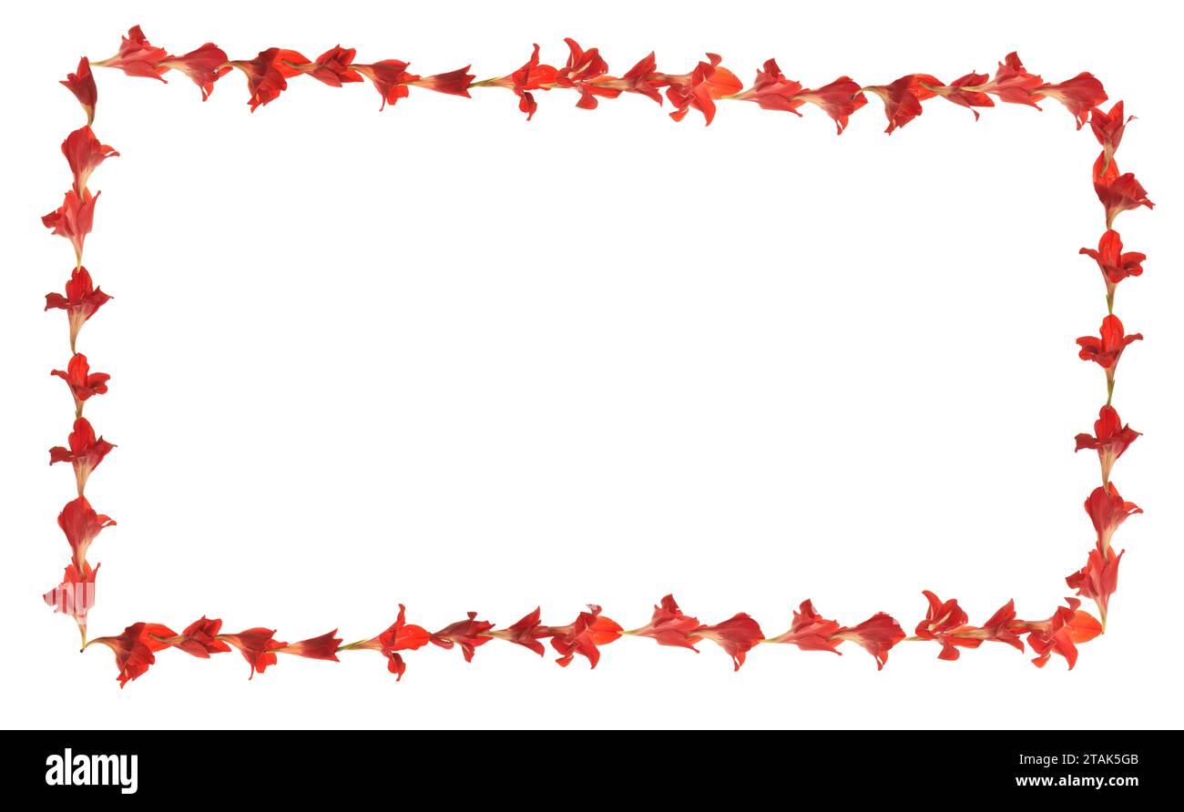 White page with floral borders, communicate your message or idea in an ...