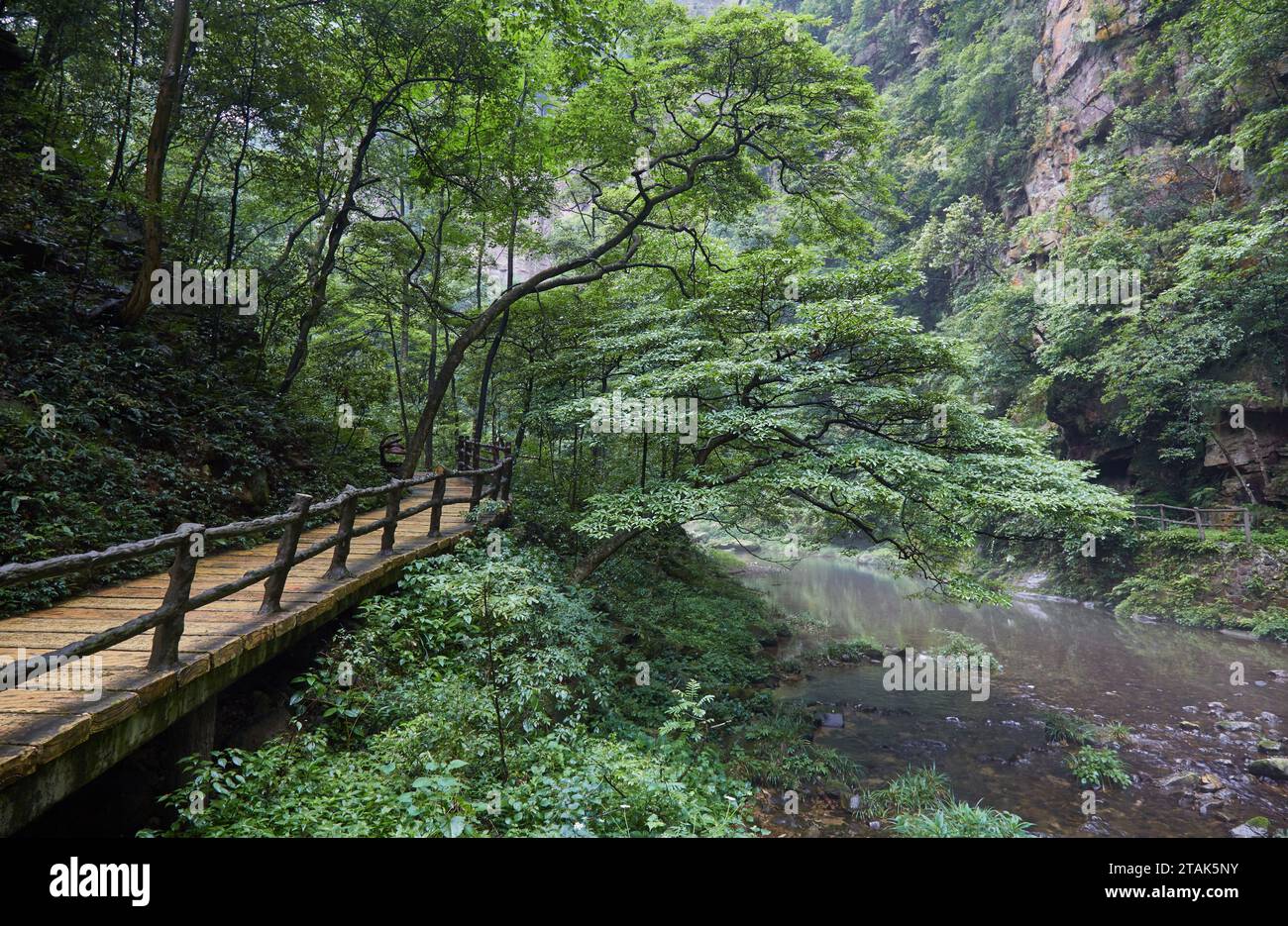 Golden Whip Stream in Zhangjiajie National Forest Park, Hunan, China ...