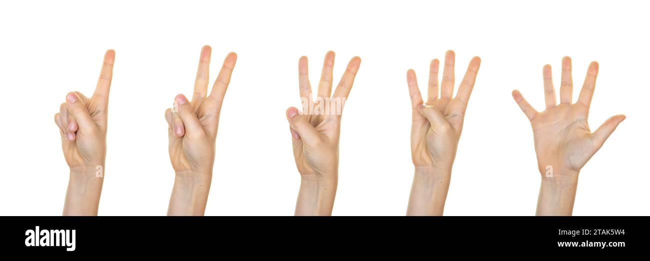Collection of hands showing numbers from one to five, fingers, white ...