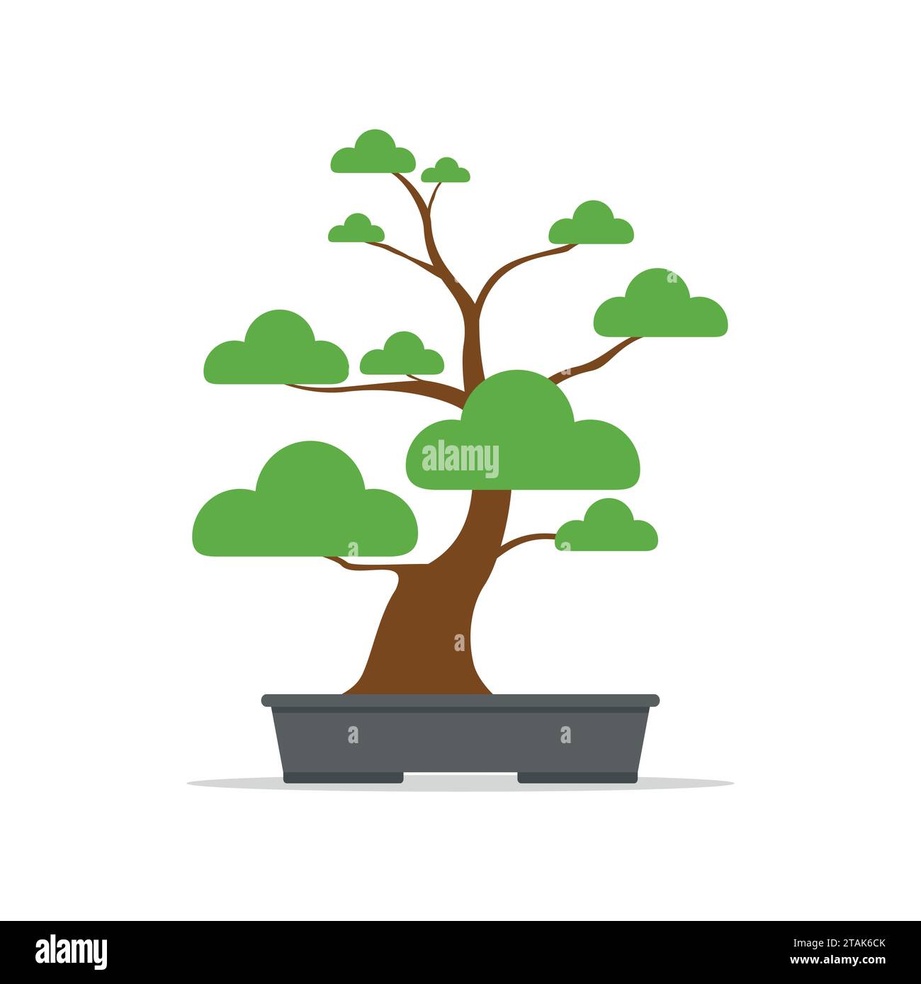 Bonsai decorative small tree growing in container. Japanese tree ...