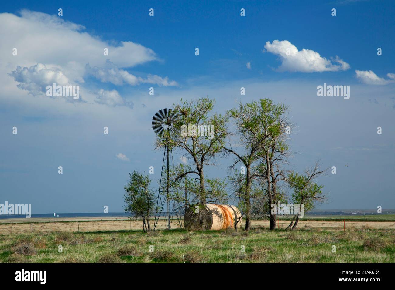 Windmill with tree stand, Pawnee National Grassland, Pawnee Pioneer ...