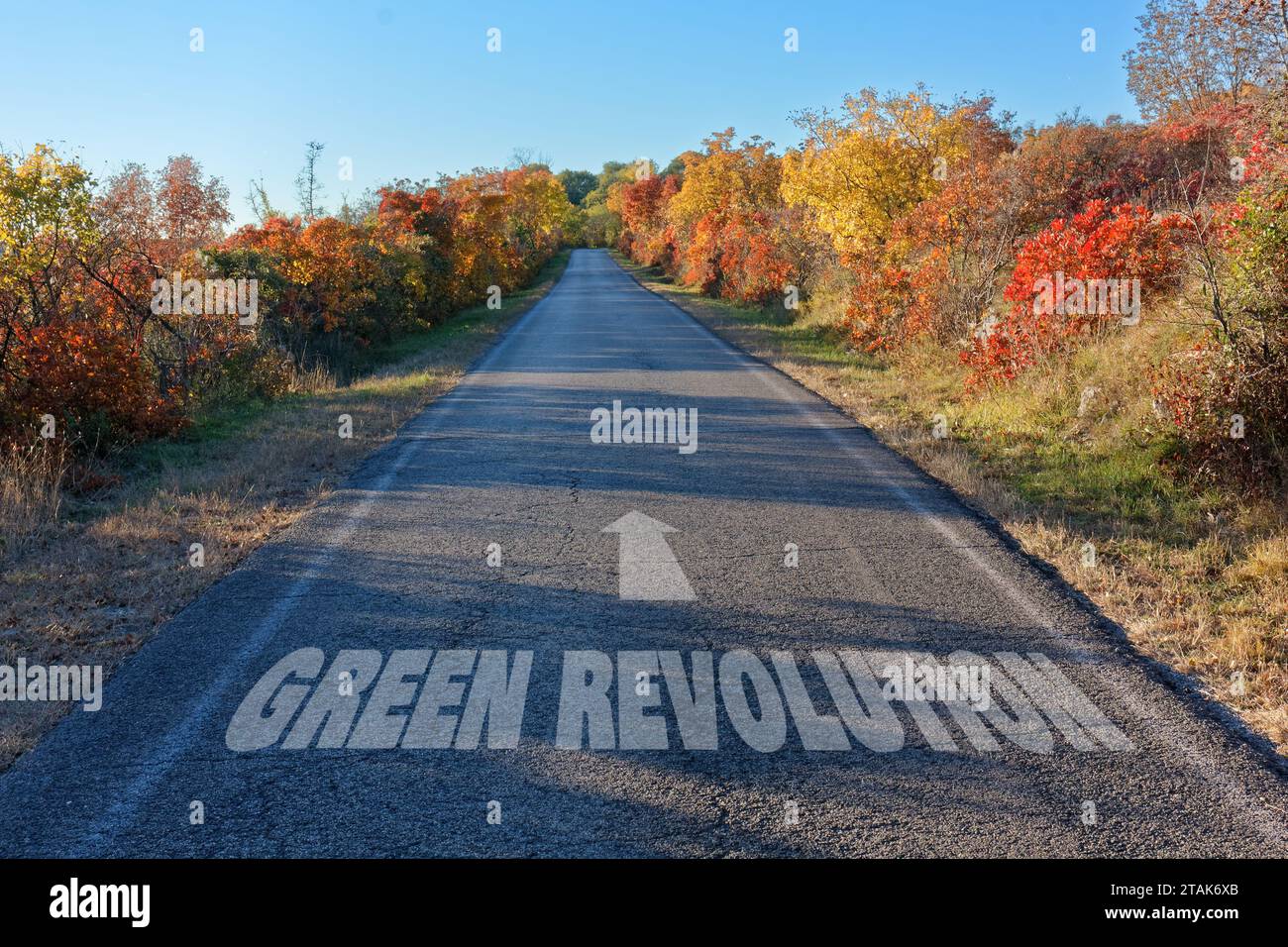 Country road with Autumn colors with a sign on asphalt indicating the ...