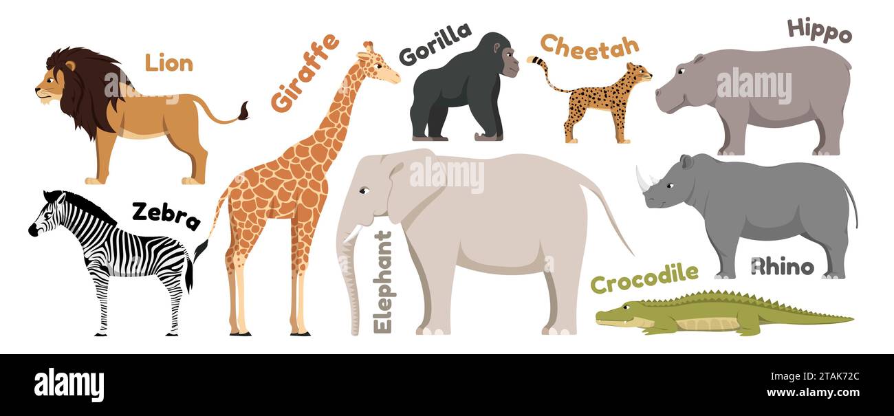 Vector Set of wild African animals Stock Vector Image & Art - Alamy