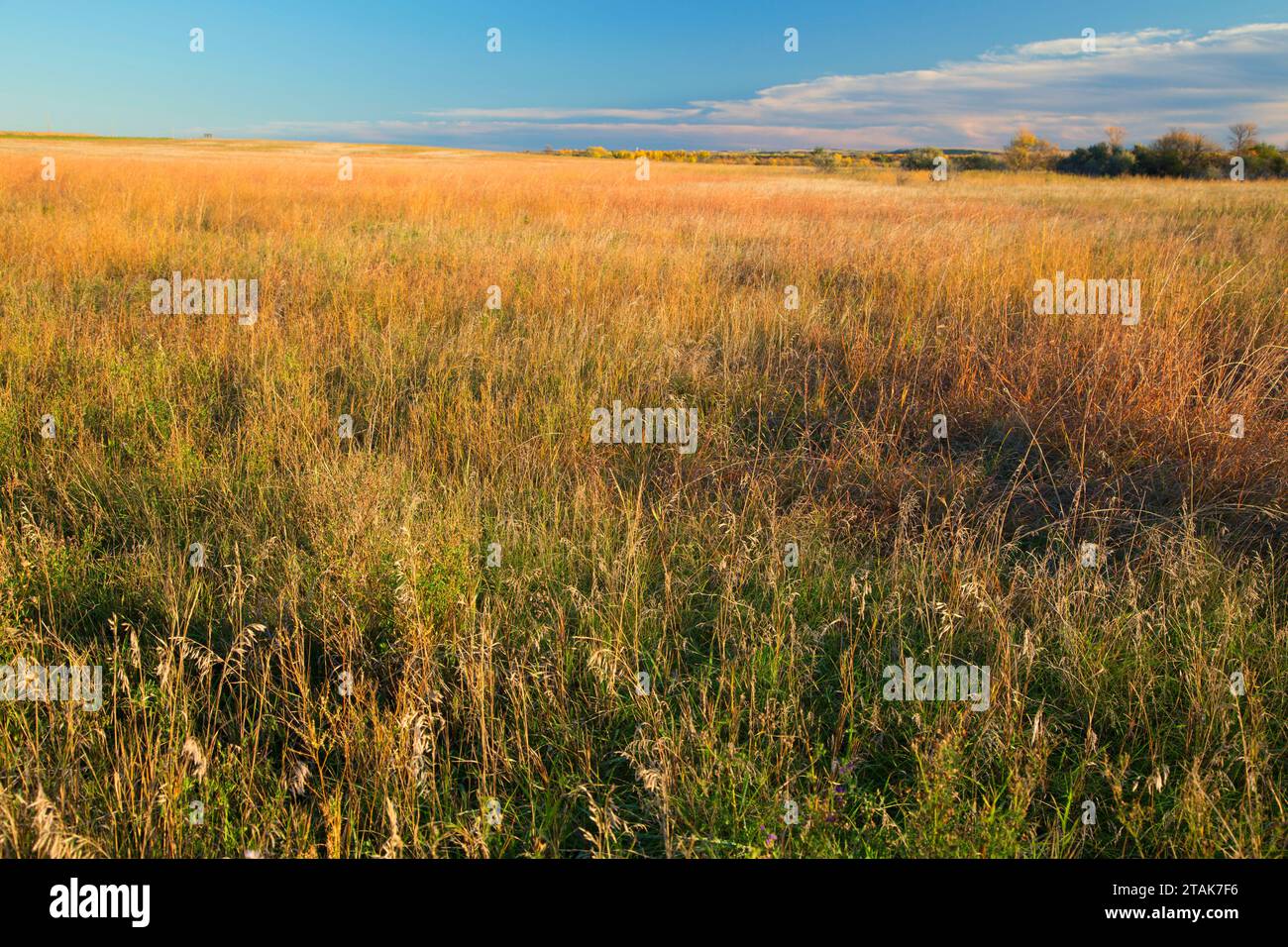 Prairie along Village Trail, Knife River Indian Villages National ...