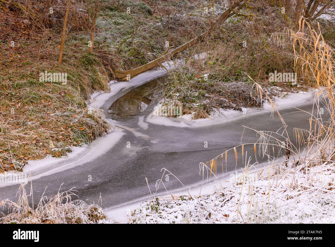 Chilling by the creek hi-res stock photography and images - Alamy