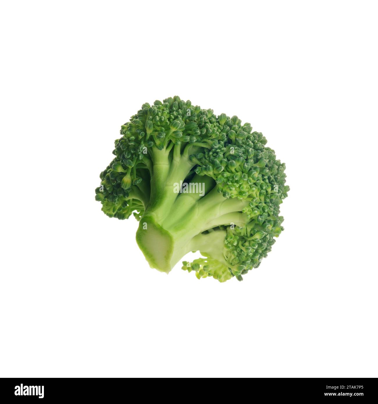 Broccoli fresh blocks for cooking isolated on white background. Square image Stock Photo - Alamy