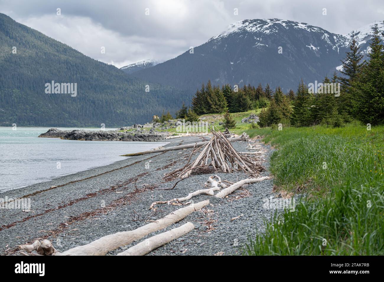 Beach in Chilkat State Park, Haines, Alaska, USA with Kelgaya Point in ...
