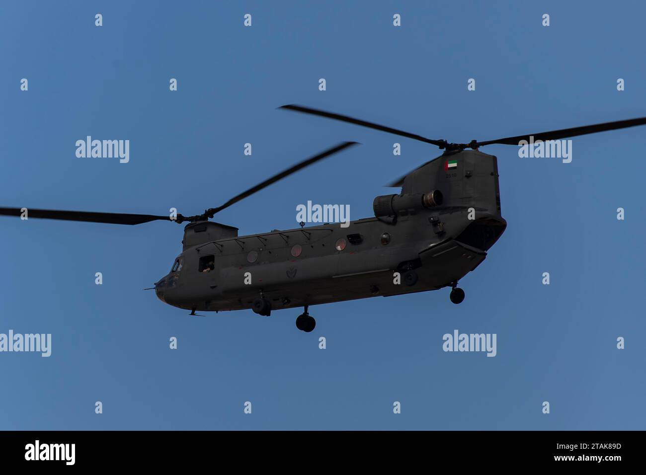 CH-47 Chinook at Dubai Air Show 2023 in Dubai, UAE Stock Photo - Alamy