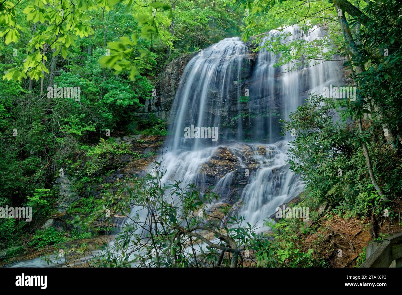 A front view of the top portion of Glen falls looking through the trees ...