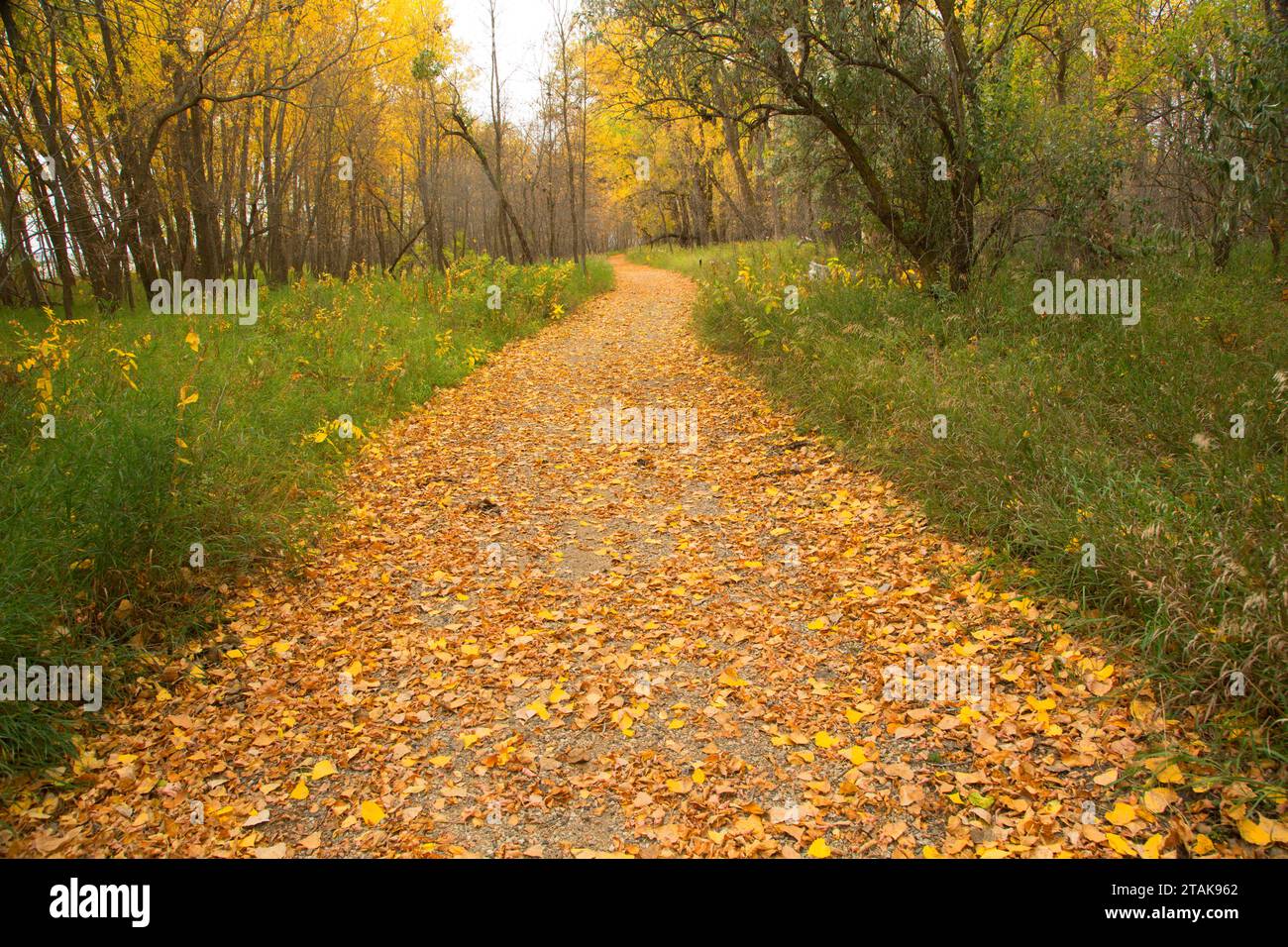 Hiking trail, Fahlgren Memorial Park, Lewis and Clark National Historic ...