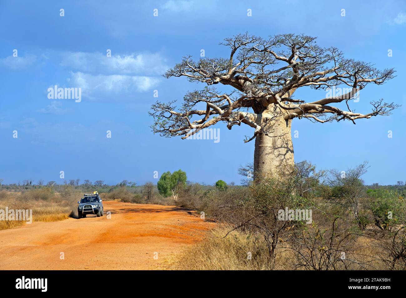 Off-road four-wheel drive vehicle with tourists driving on dirt road ...