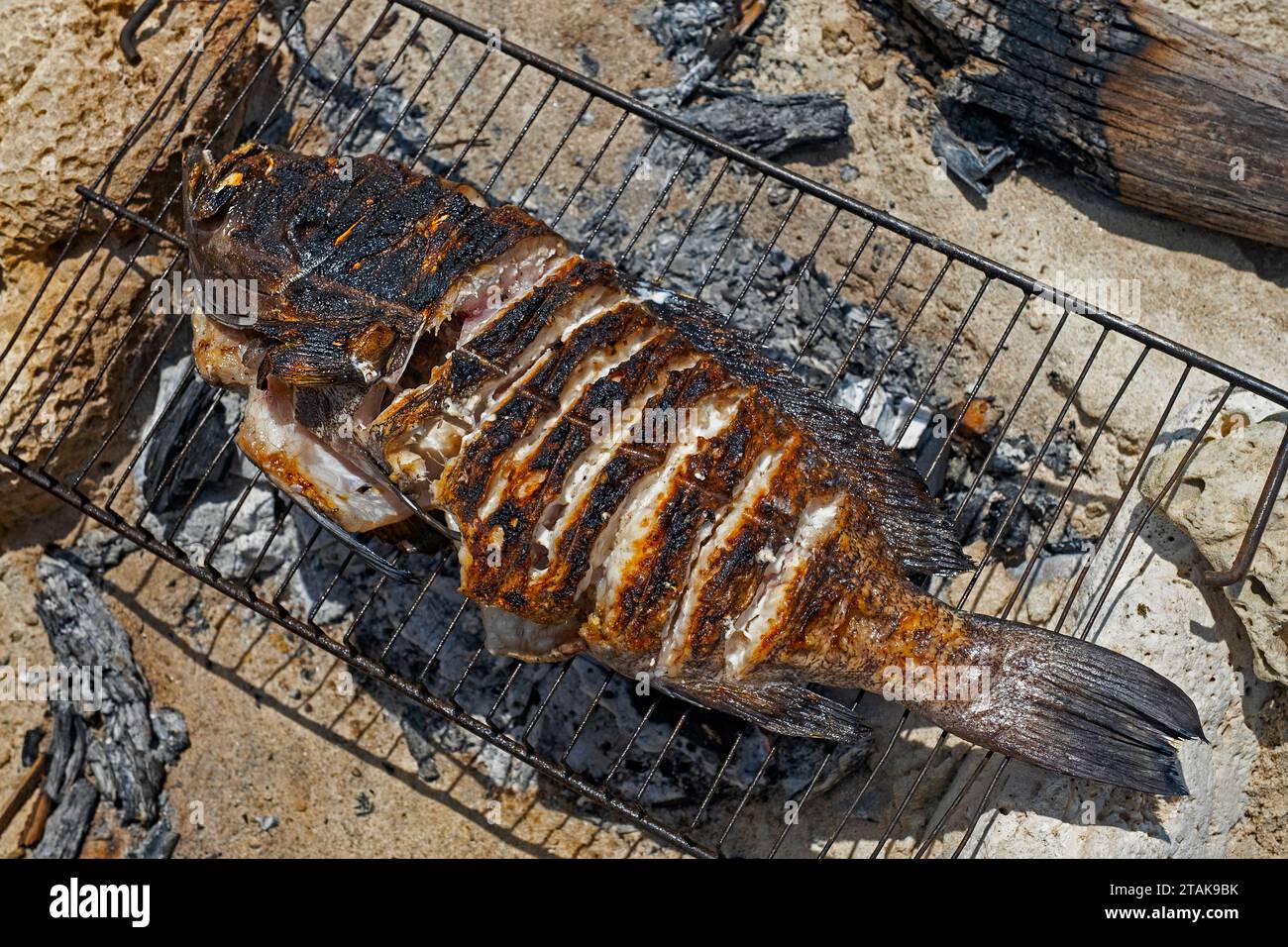 Freshly caught fish grilled on simple barbecue on the beach at the ...