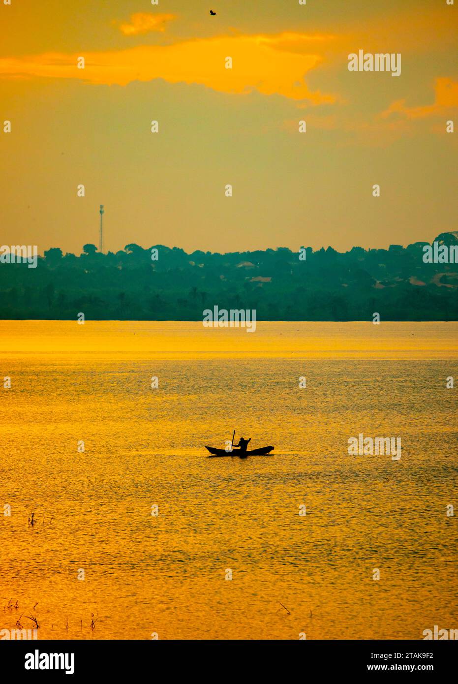 A man fishing in a small boat on Lake Victoria, Uganda at sunrise Stock ...
