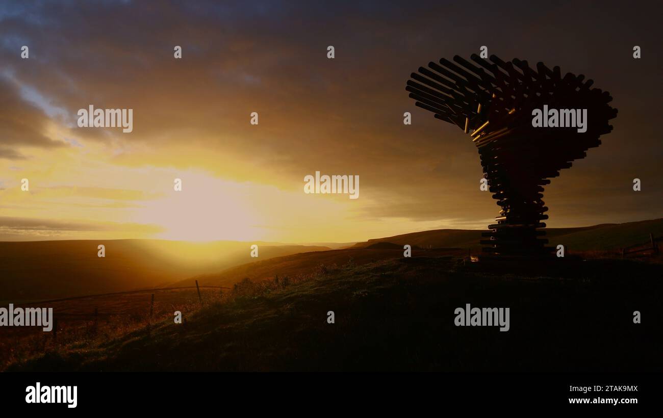singing ringing tree sunrise projected in silhouette Stock Photo - Alamy