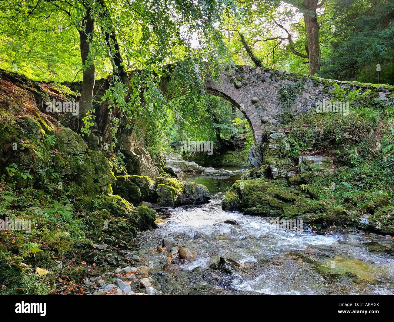 Fall image of Foley's Bridge, built in 1787, located in Tolleymore ...