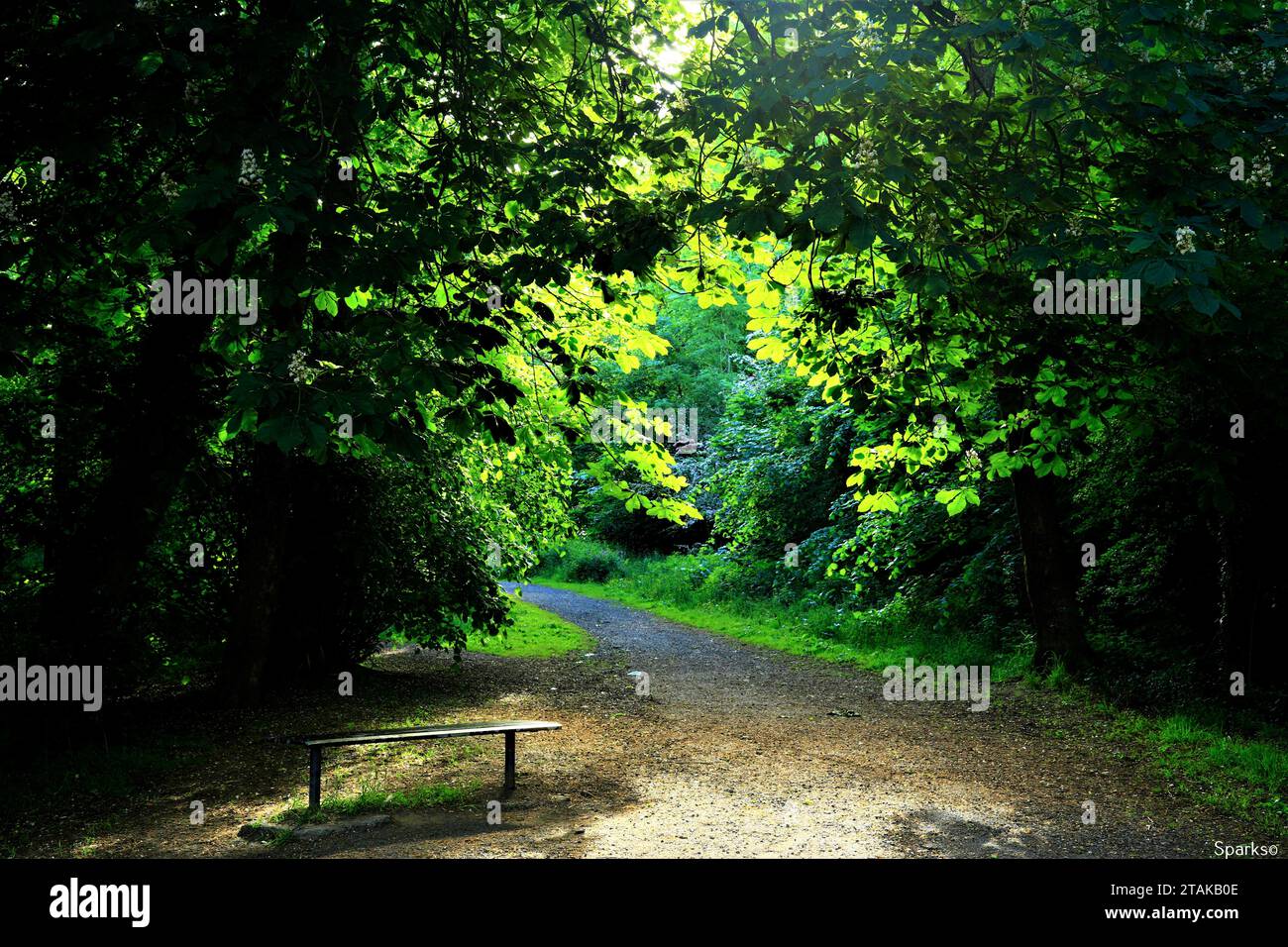 Quiet corner is a timed sunrise to highlight the serenity of this ...