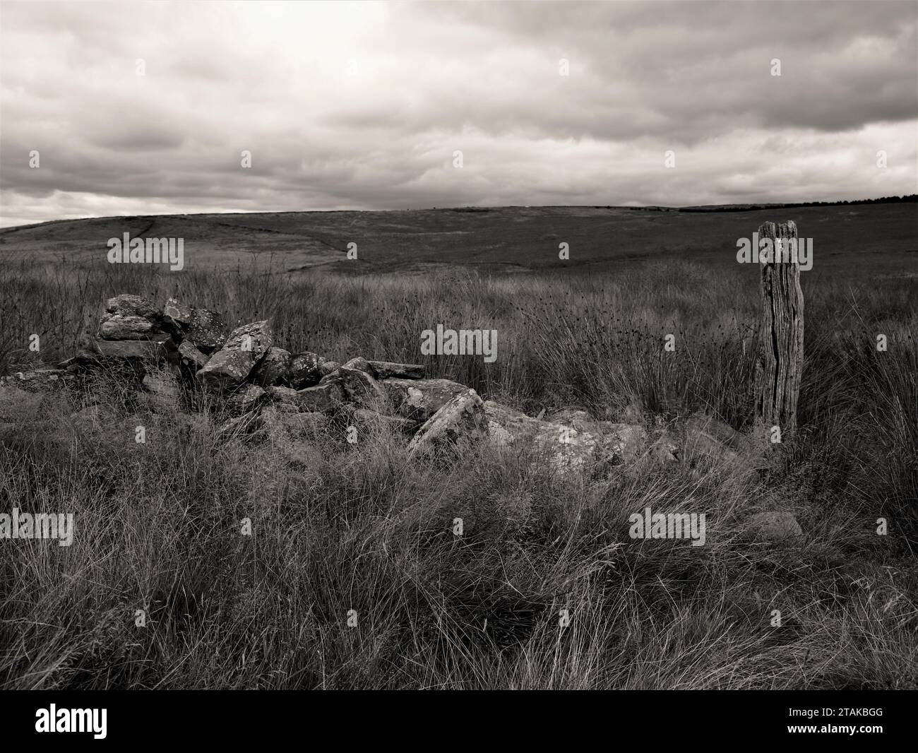 Fence post carrying out a supportive role working alongside the stone ...